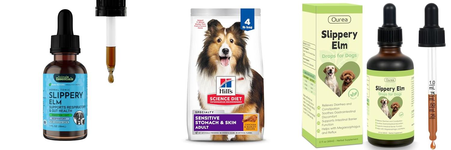 Best Dog Food For Dogs With Acid Reflux - Top 5 Picks & Review