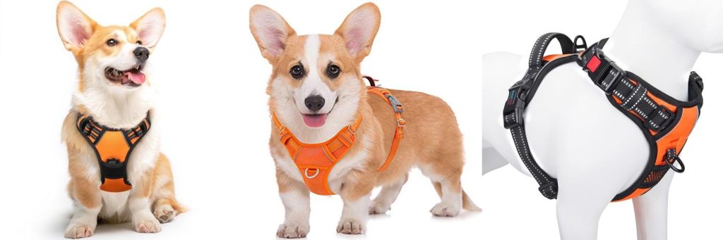 Top 5 Corgi Dog Harnesses: Your Best Fit Guide