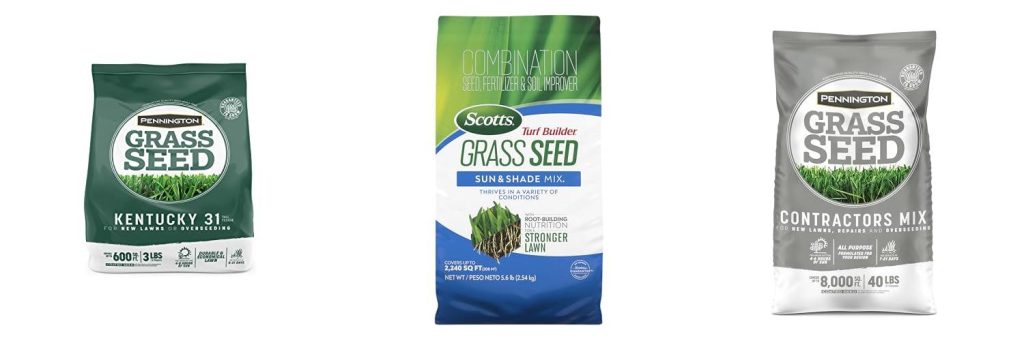Top 5 Grass Seed for Michigan: Your Lawn Guide