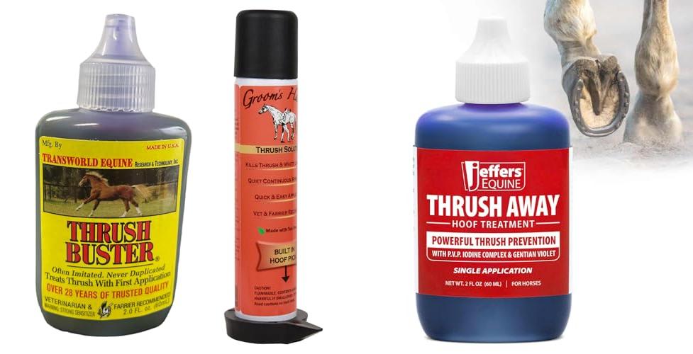 Top 5 Horse Thrush Treatments: Your Essential Guide