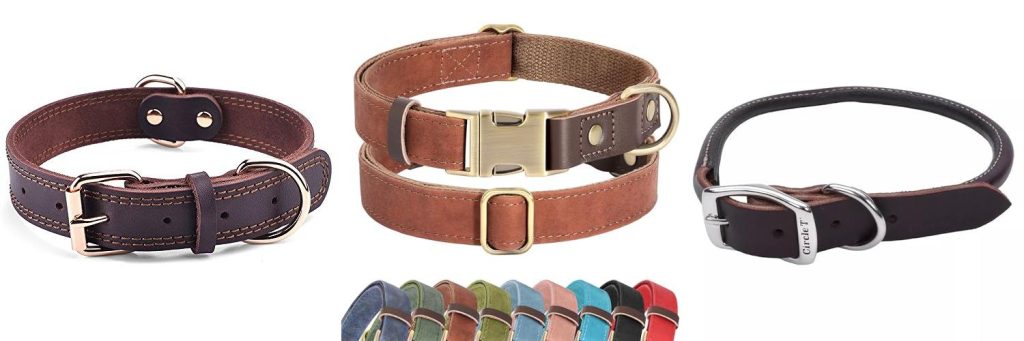 Stylish Leather Collars: Top 5 Picks Reviewed